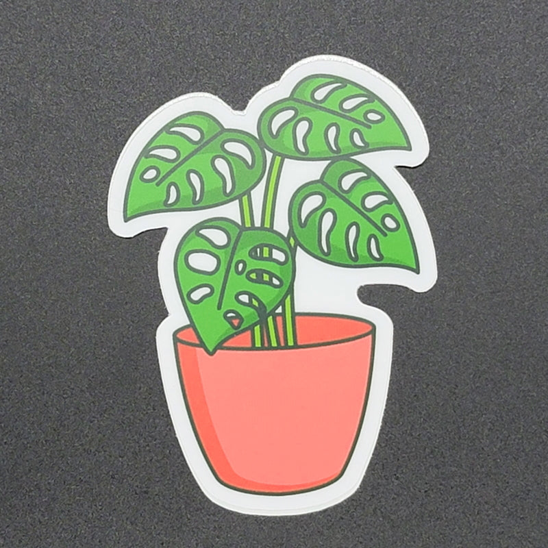 Swiss Cheese Plant Sticker – Wholesale Plant Stickers