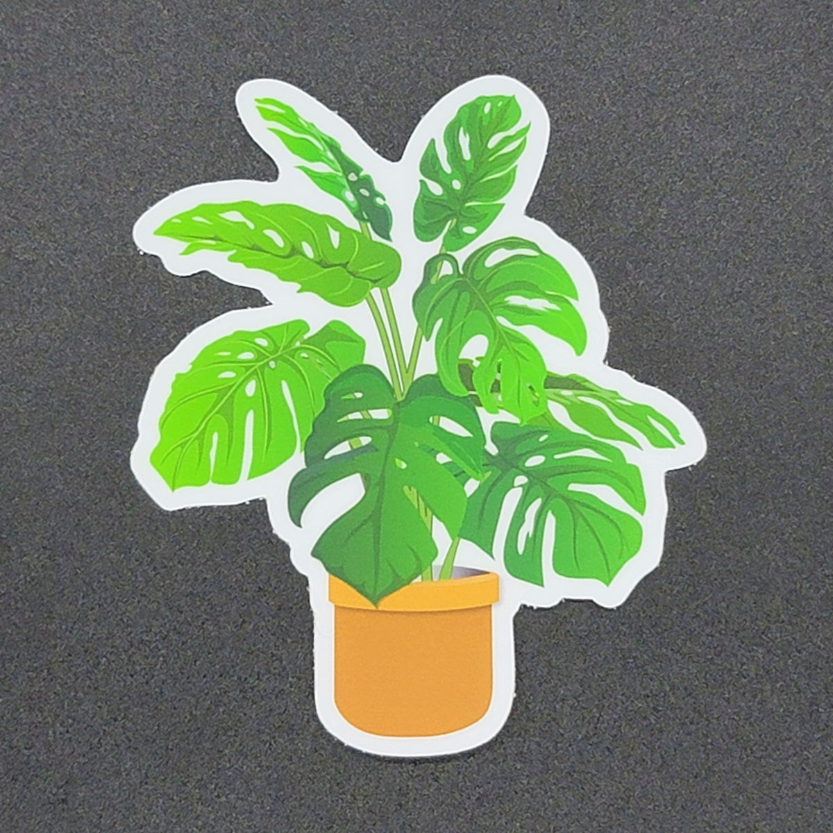 "Natural Style" Monstera Sticker – Wholesale Plant Stickers