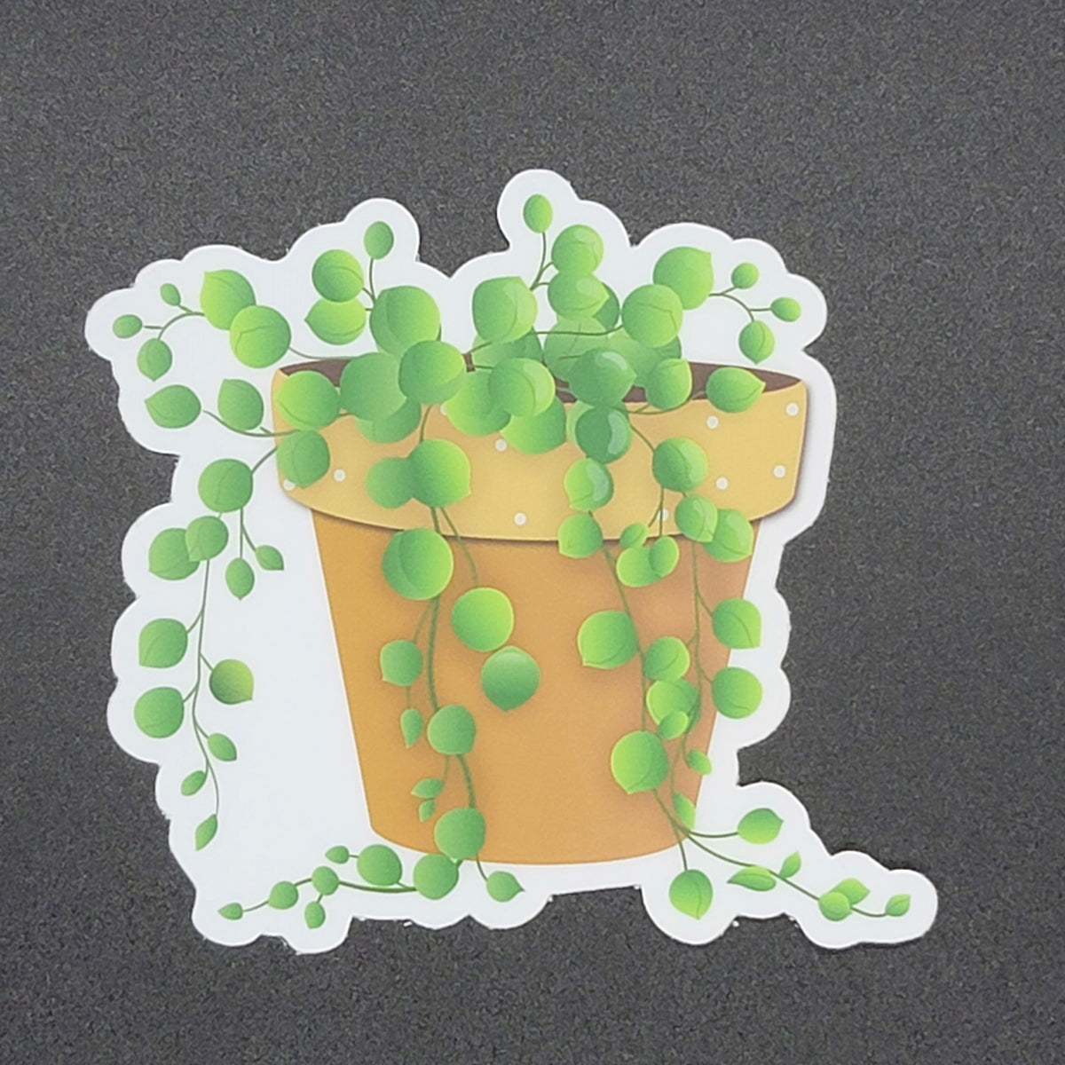 "Natural Style" String Of Pearls Sticker – Wholesale Plant Stickers