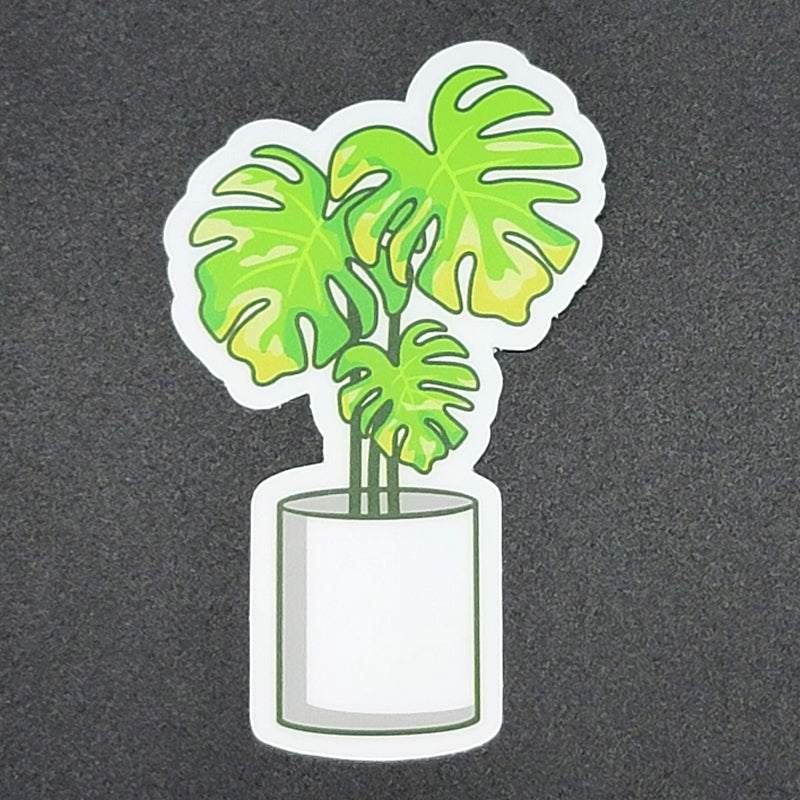 Variegated Monstera Plant Sticker – Wholesale Plant Stickers
